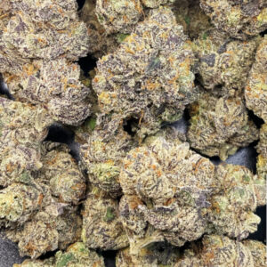 Exotic Genetix Cannabis Seeds – Available at Grow Big Hydro 2025